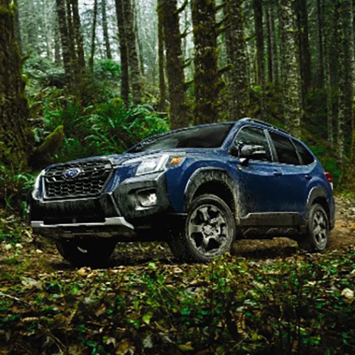5 Reasons Why the Subaru Forester is a Great Family Car...